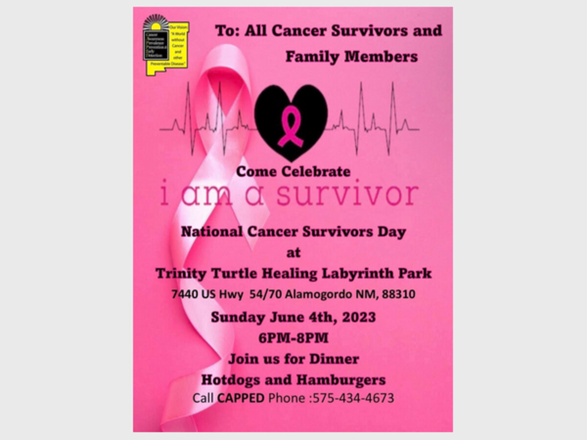 Trinity Turtle Healing Labyrinth Park Cancer Survivors Club | 2nd Life ...